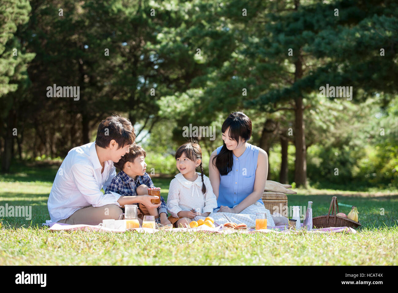 Family having a picnic hi-res stock photography and images - Alamy