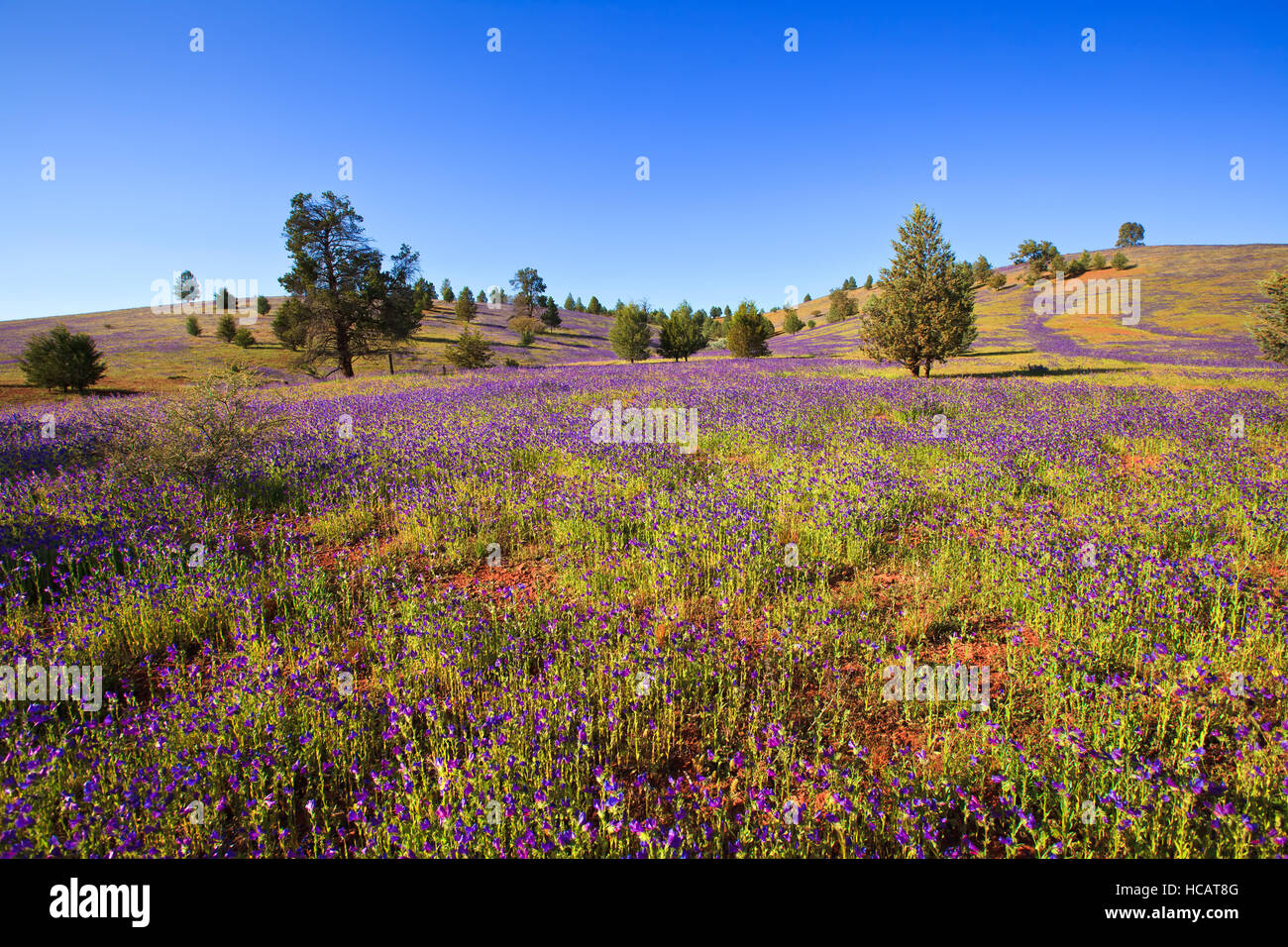 outback landscape landscapes Flinders Ranges South Australia Australian ...