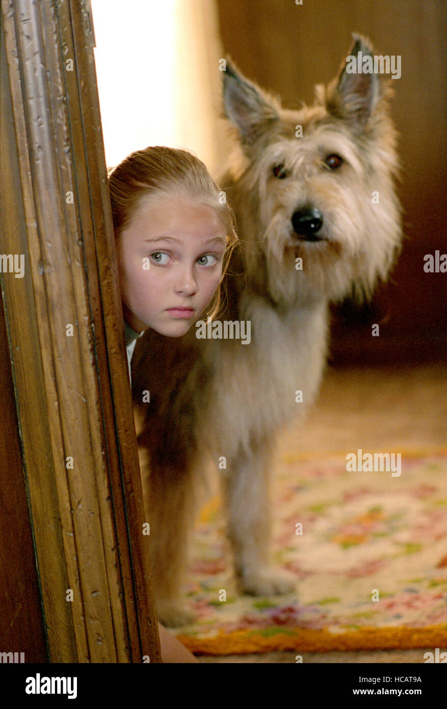 BECAUSE OF WINN-DIXIE, AnnaSophia Robb, Winn-Dixie, 2005, TM & Copyright (c) 20th Century Fox ...