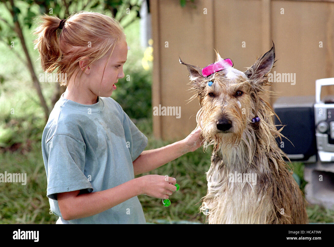 BECAUSE OF WINN-DIXIE, AnnaSophia Robb, Winn-Dixie, 2005, TM & Copyright (c) 20th Century Fox ...