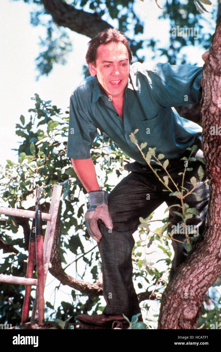 BERT RIGBY, YOU'RE A FOOL!, Robert Lindsay, 1989, © Warner Brothers ...