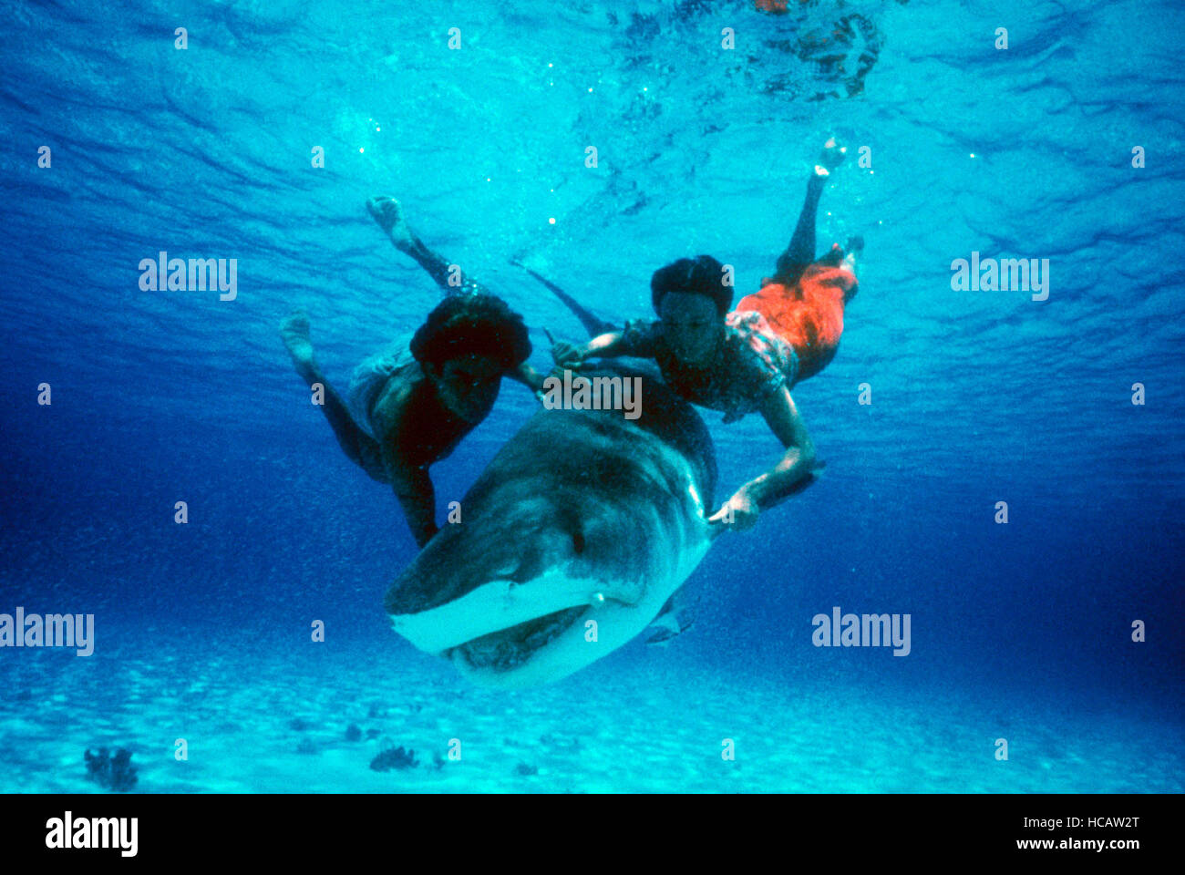 BEYOND THE REEF, (aka SHARK BOY OF BORA BORA, aka SEA KILLER), Dayton Ka'ne, Maren Jensen, 1981 ...