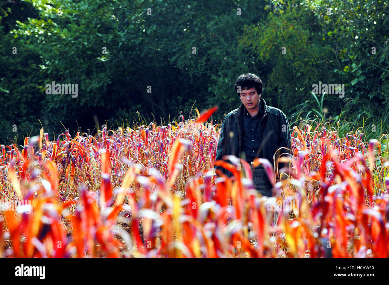BEYOND THE YEARS, (aka CHUN NYUN HACK), from left: JO Hyeon-jae, 2007 ...