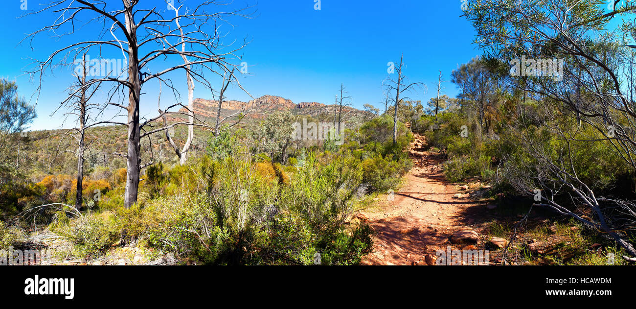 Flinders ranges aboriginal hi-res stock photography and images - Alamy