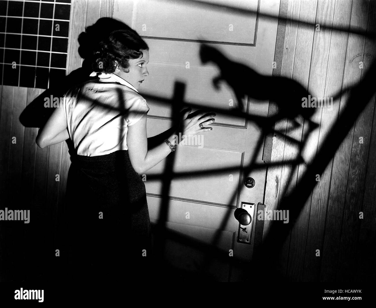 THE BLACK CAT, Jacqueline Wells (aka Julie Bishop), 1934 Stock Photo ...