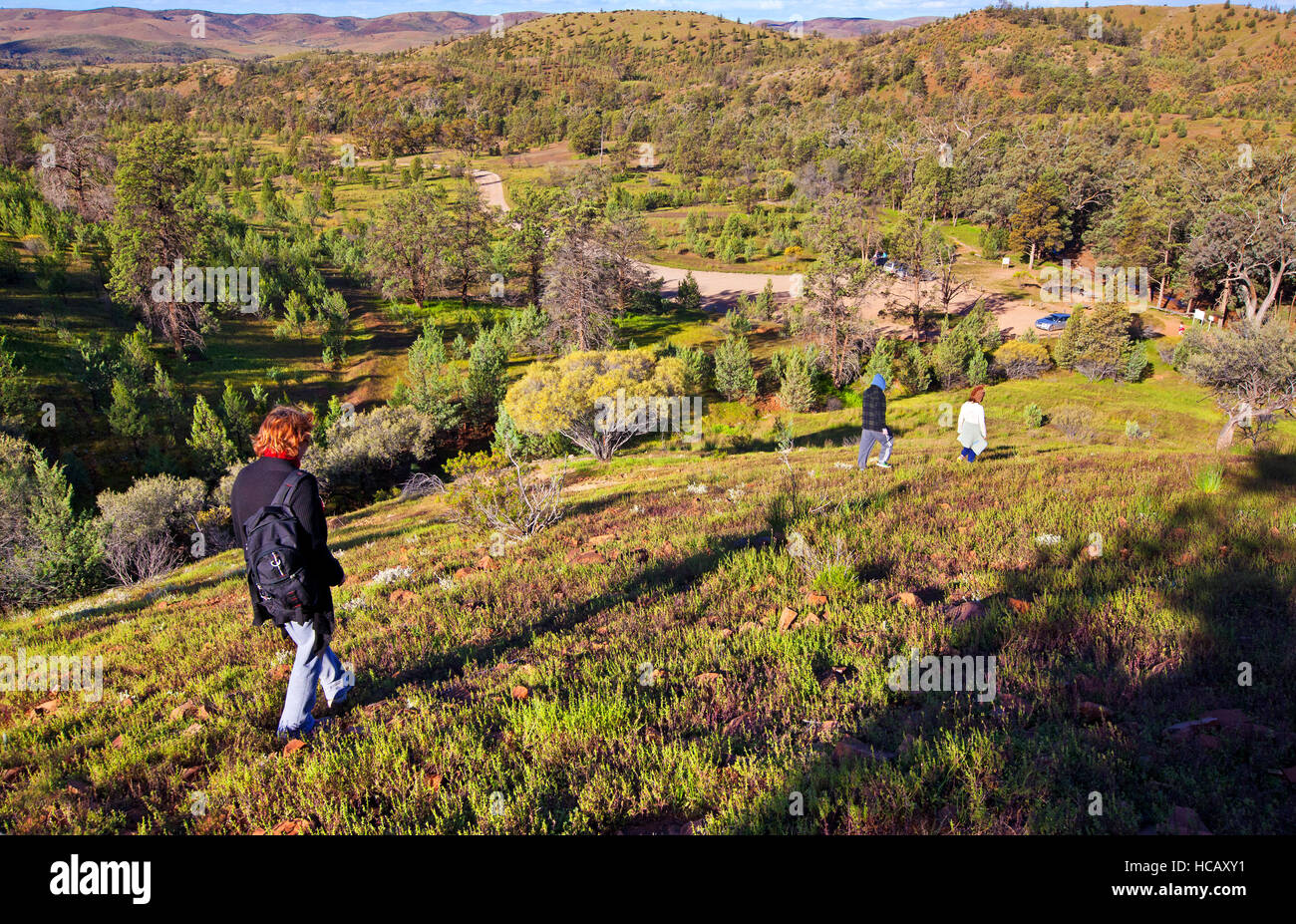 Sacred Canyon Flinders Ranges South Australia Stock Photo - Alamy