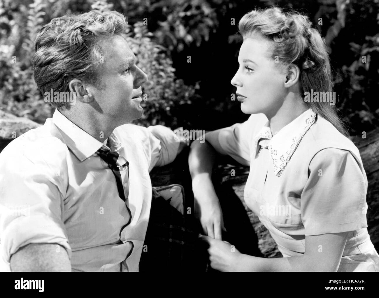 THE BRIDE GOES WILD, Van Johnson, June Allyson, 1948 Stock Photo - Alamy