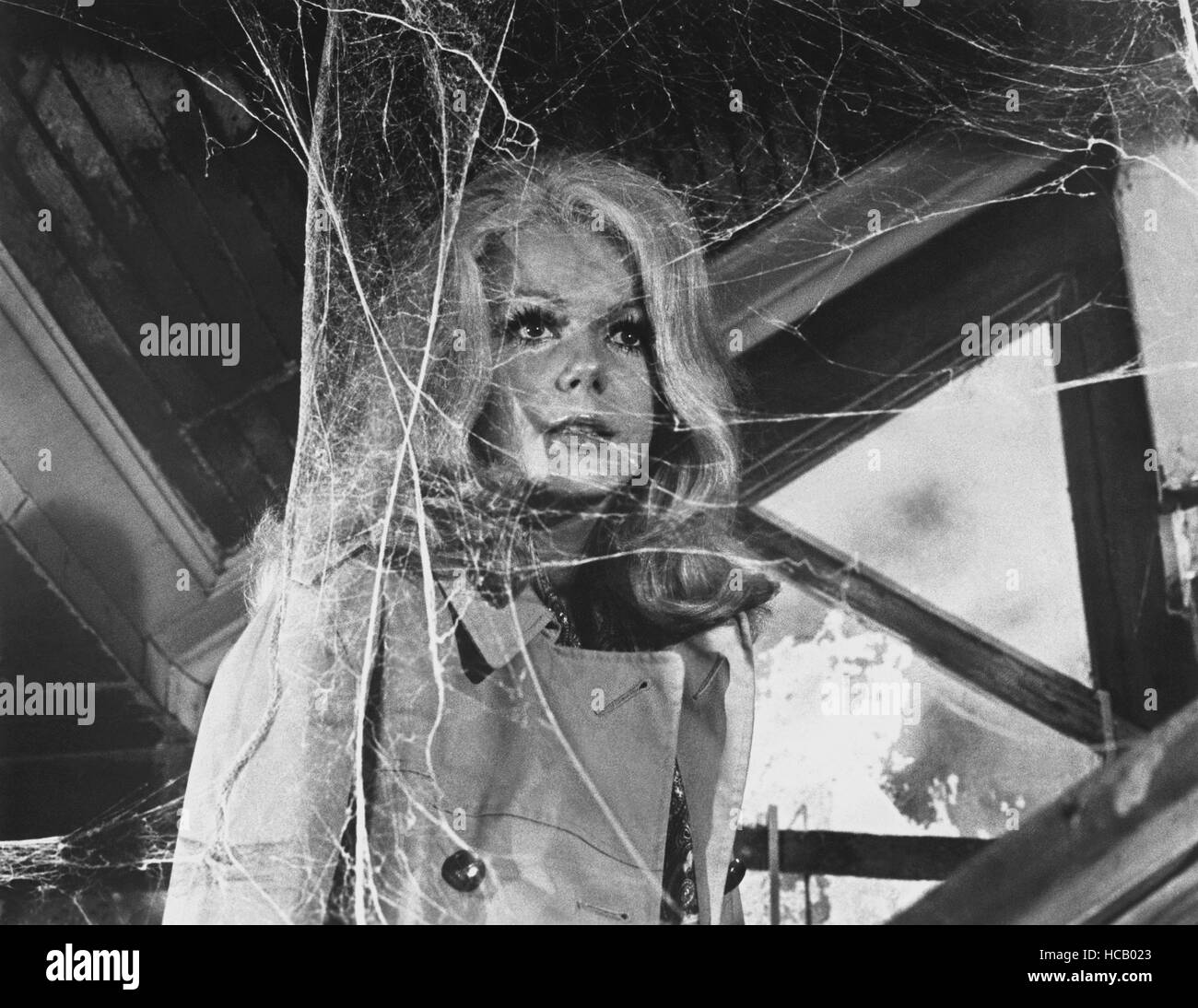 THE BROTHERHOOD OF SATAN, Ahna Capri, 1971 Stock Photo - Alamy