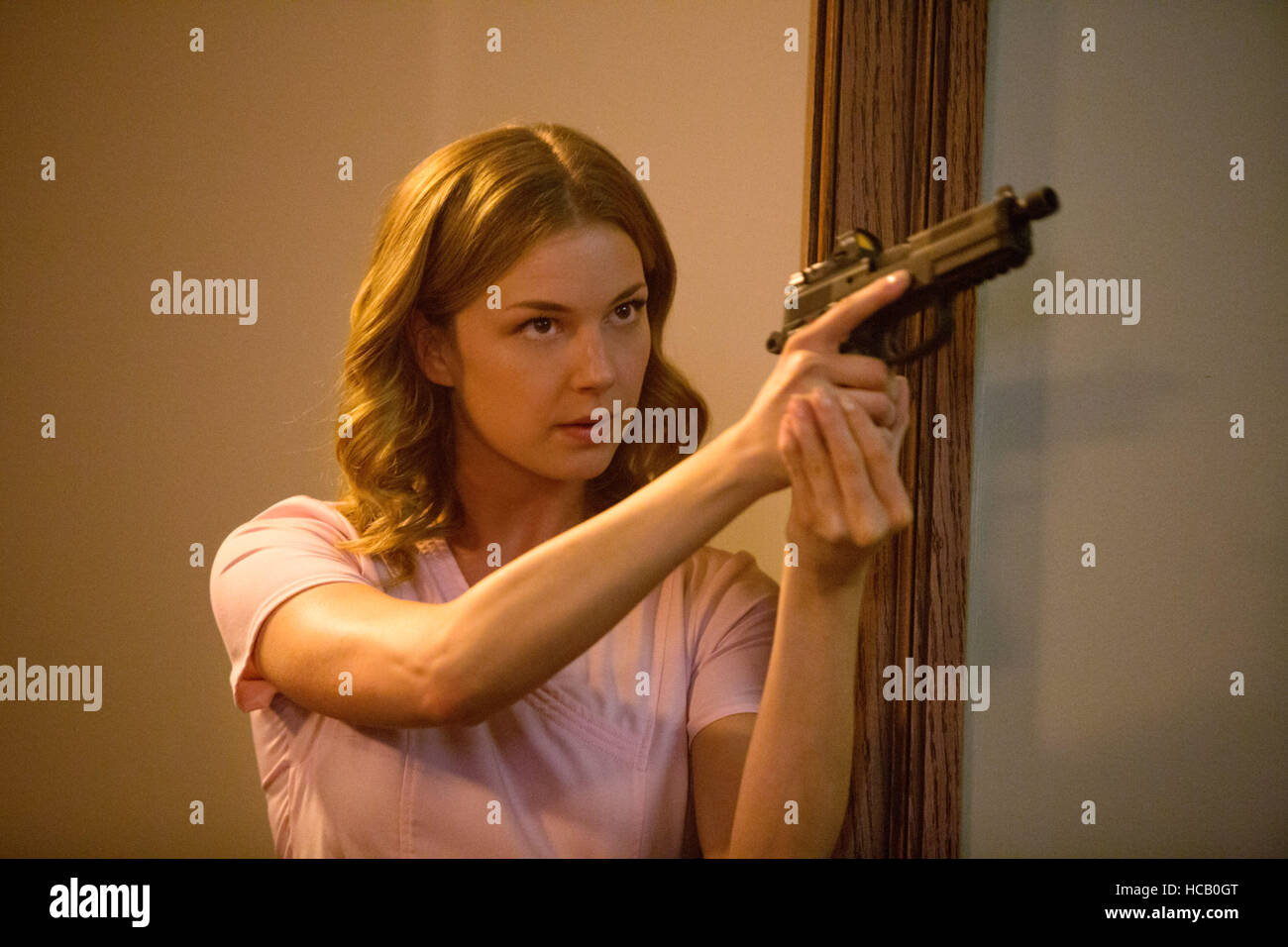 CAPTAIN AMERICA: THE WINTER SOLDIER, Emily VanCamp, 2014. ph: Zade ...