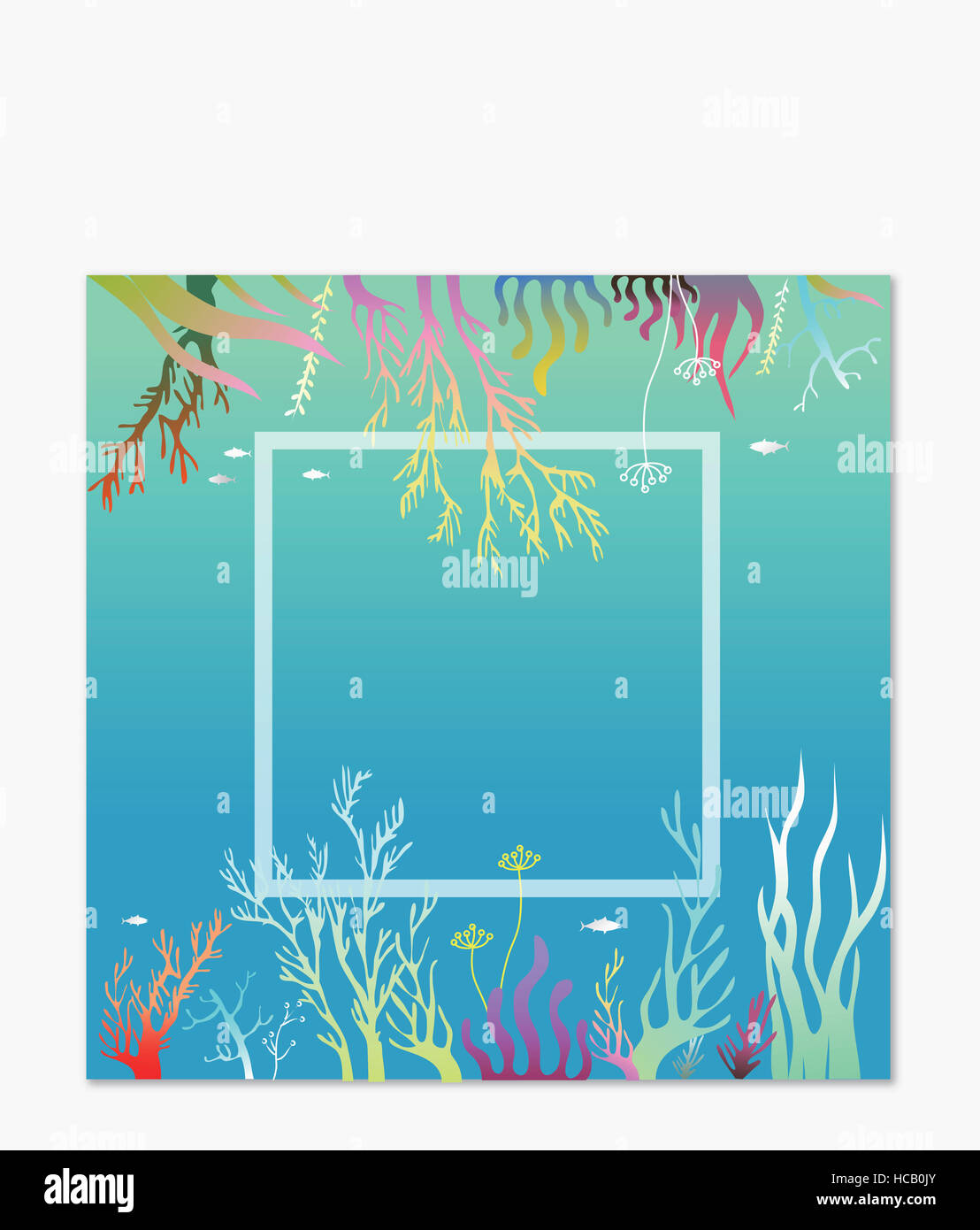 Coral square Cut Out Stock Images & Pictures - Alamy