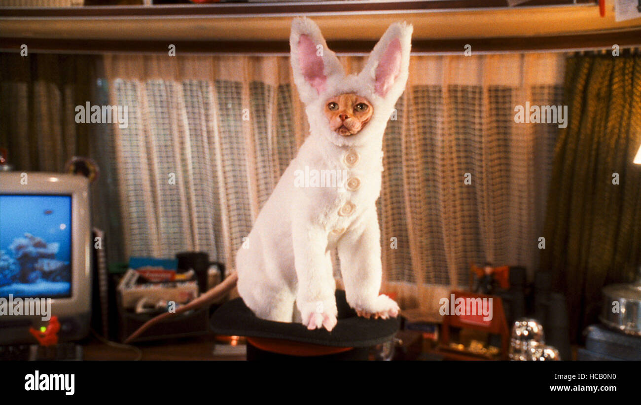 CATS & DOGS: THE REVENGE OF KITTY GALORE, Kitty Galore (voice: Bette ...