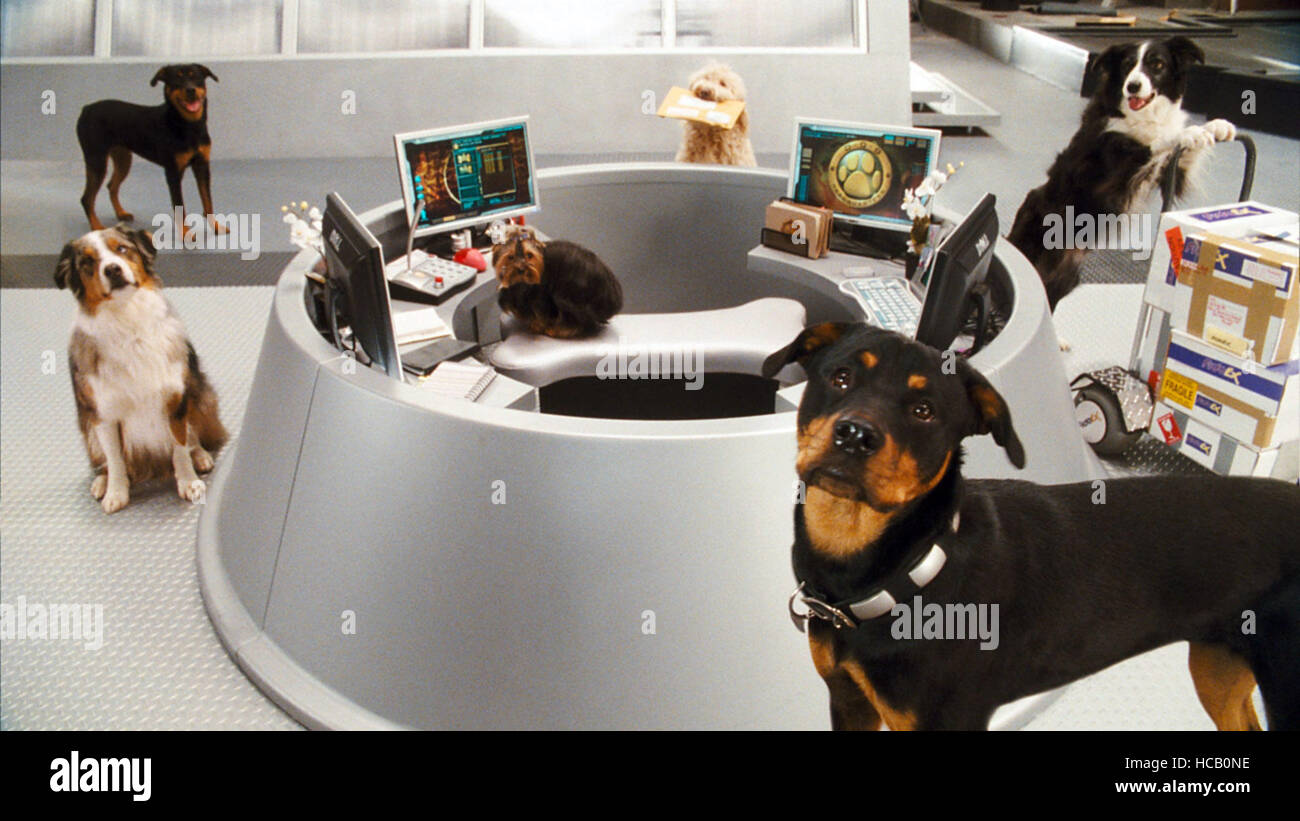 CATS & DOGS: THE REVENGE OF KITTY GALORE, 2010. ©Warner Bros. Pictures ...