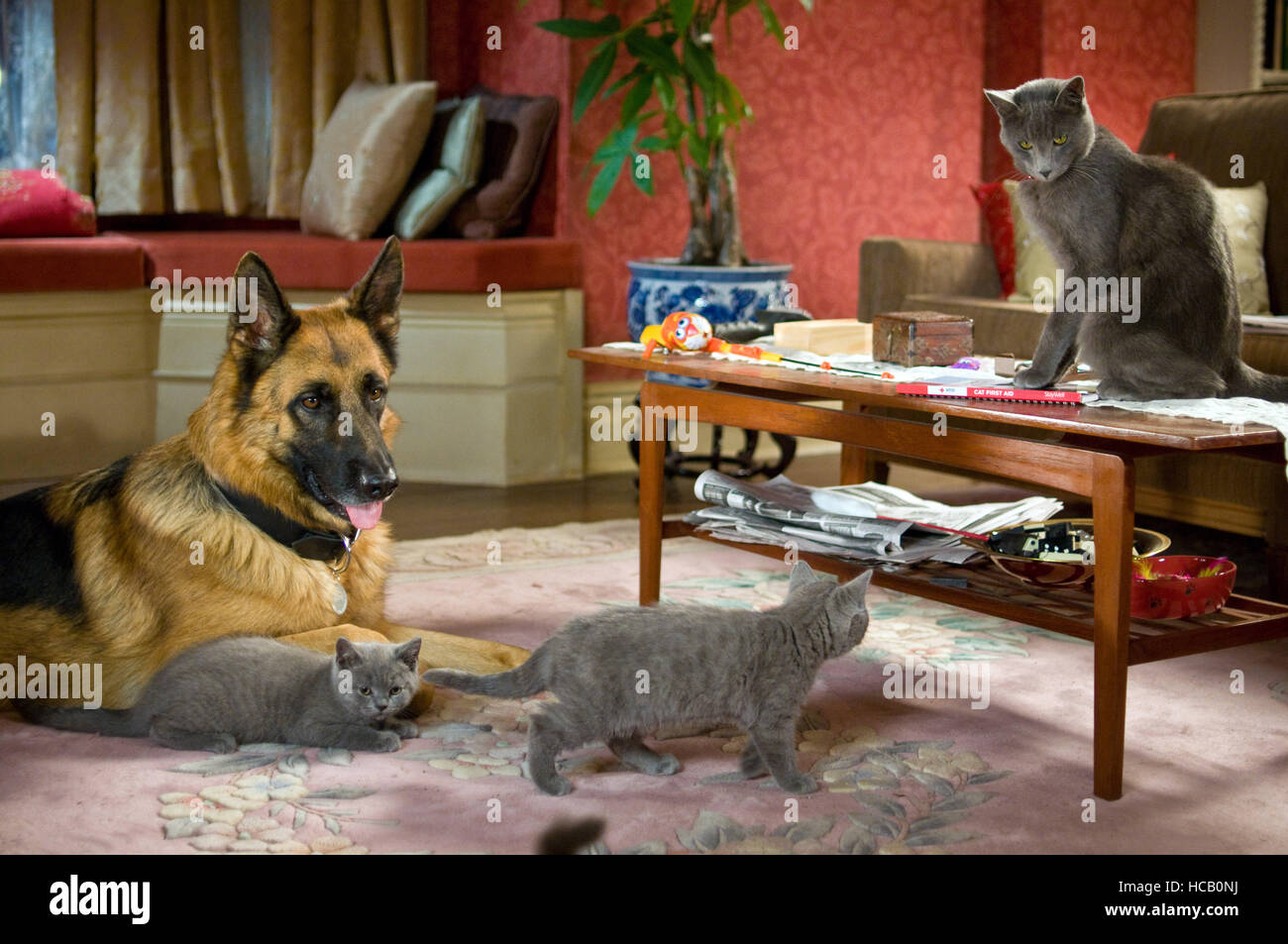 CATS & DOGS: THE REVENGE OF KITTY GALORE, Diggs (back left, voice ...