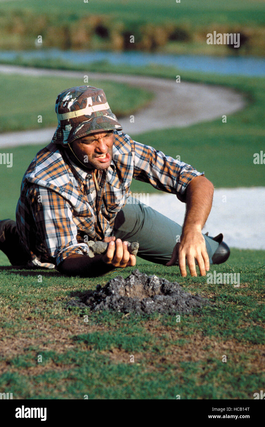 CADDYSHACK, Bill Murray, 1980. (c) Orion Pictures/ Courtesy: Everett ...