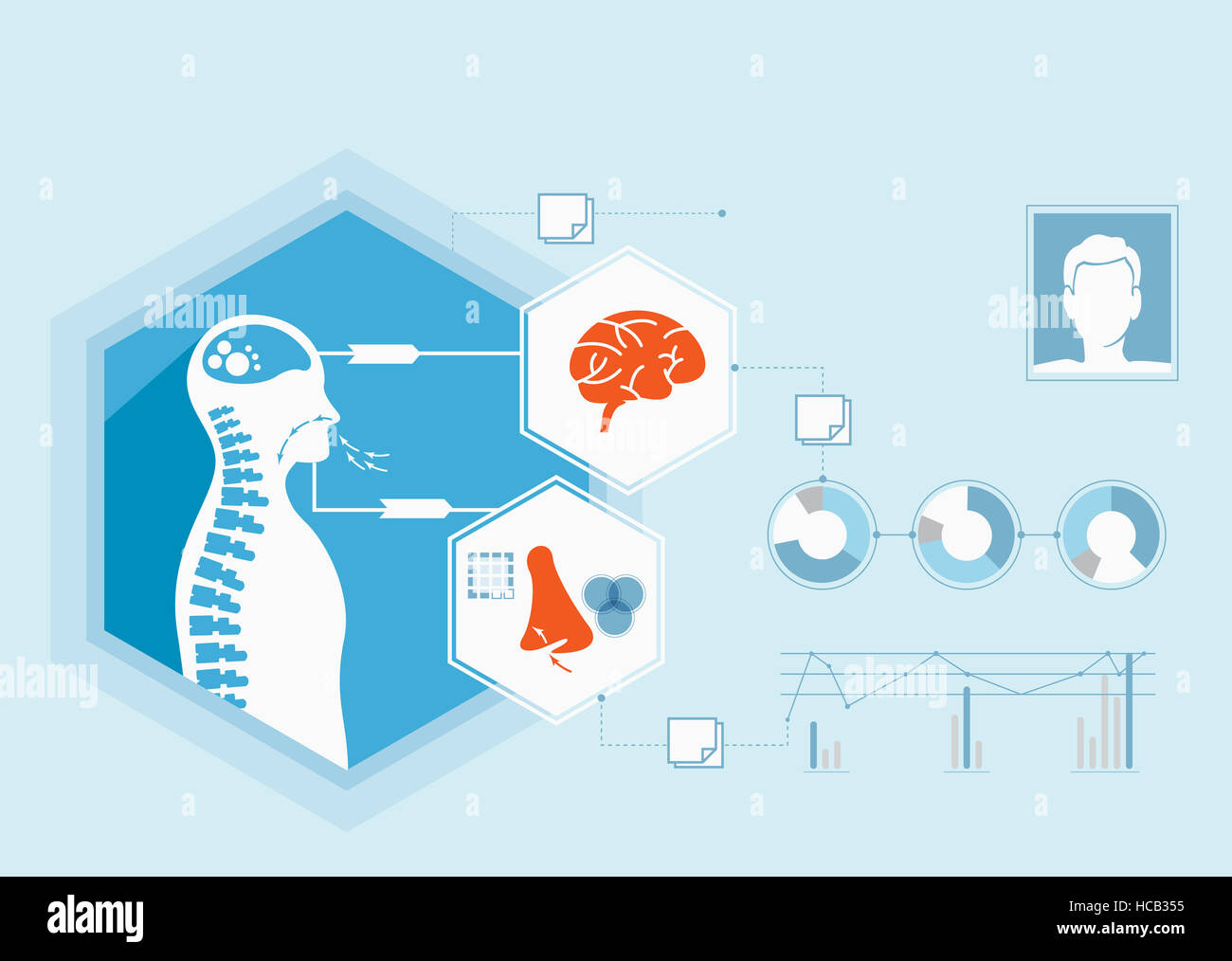 Illustration of human brain and Infographic Stock Photo - Alamy