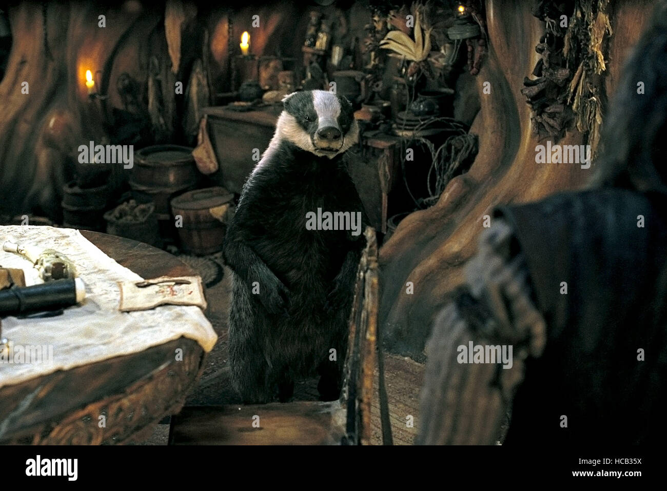 THE CHRONICLES OF NARNIA: PRINCE CASPIAN, 2008. ©Walt Disney Co ...