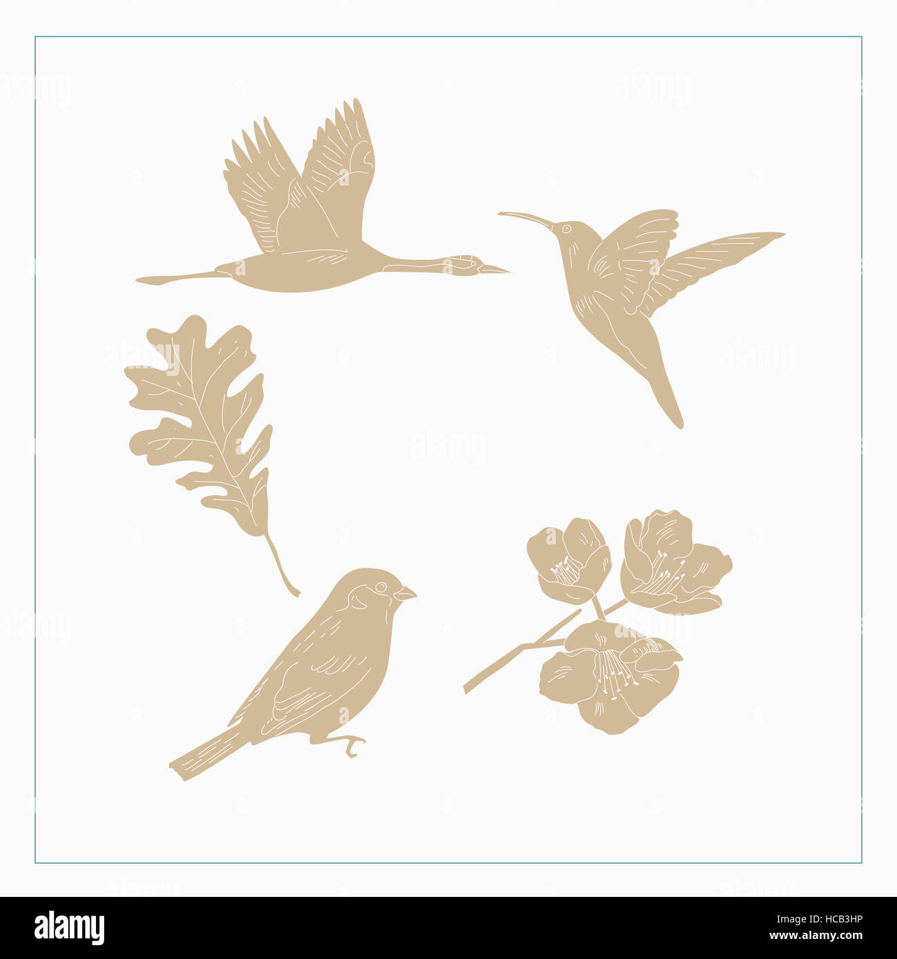 Beige birds Cut Out Stock Images & Pictures - Alamy