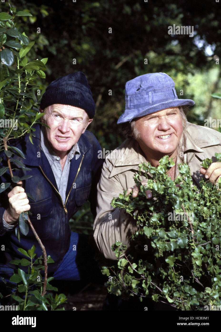 CHOMPS, Red Buttons, Chuck McCann, 1979, (c) American International ...