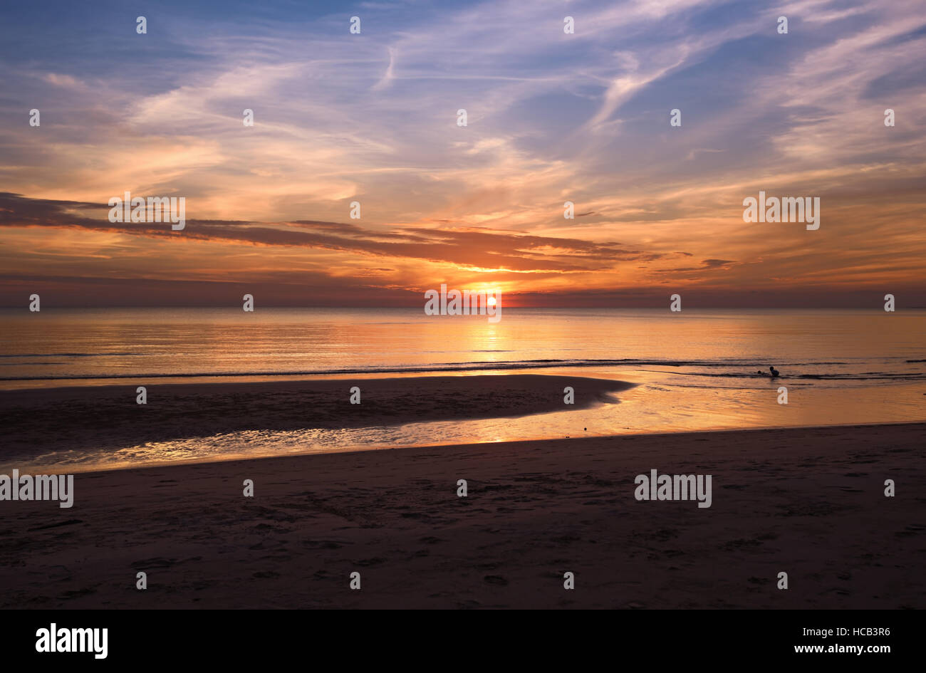 Beautiful golden sunset on Beach Stock Photo - Alamy