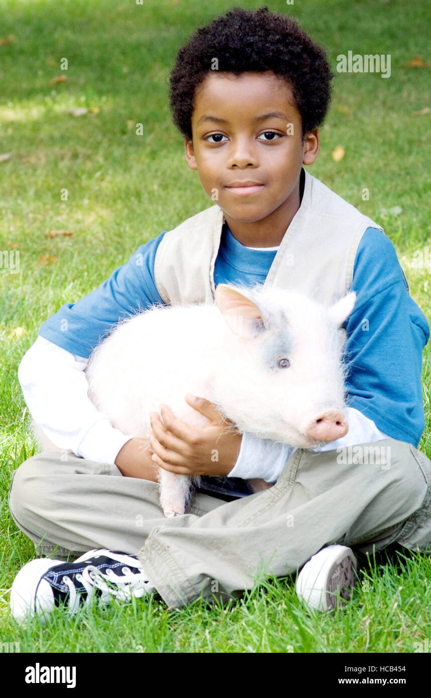 COLLEGE ROAD TRIP, Albert the pig, Eshaya Draper, 2008. ©Walt Disney Co ...