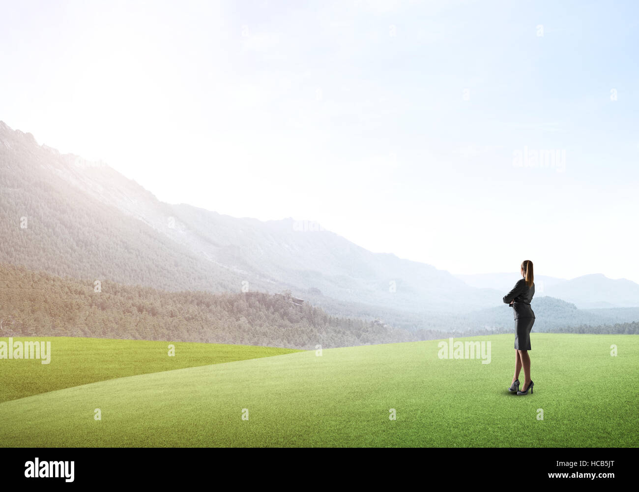 Achieving top of success Stock Photo - Alamy
