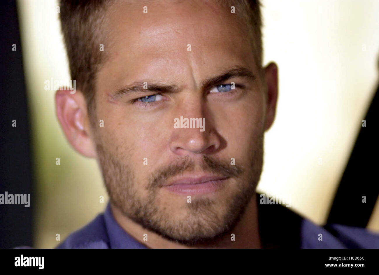 THE DEATH AND LIFE OF BOBBY Z, Paul Walker, 2007. ©Sony Pictures ...