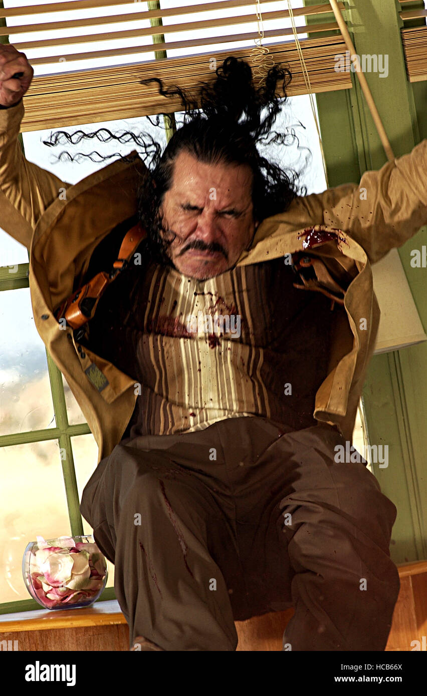 THE DEATH AND LIFE OF BOBBY Z, 2007. ©Sony Pictures/Courtesy Everett ...