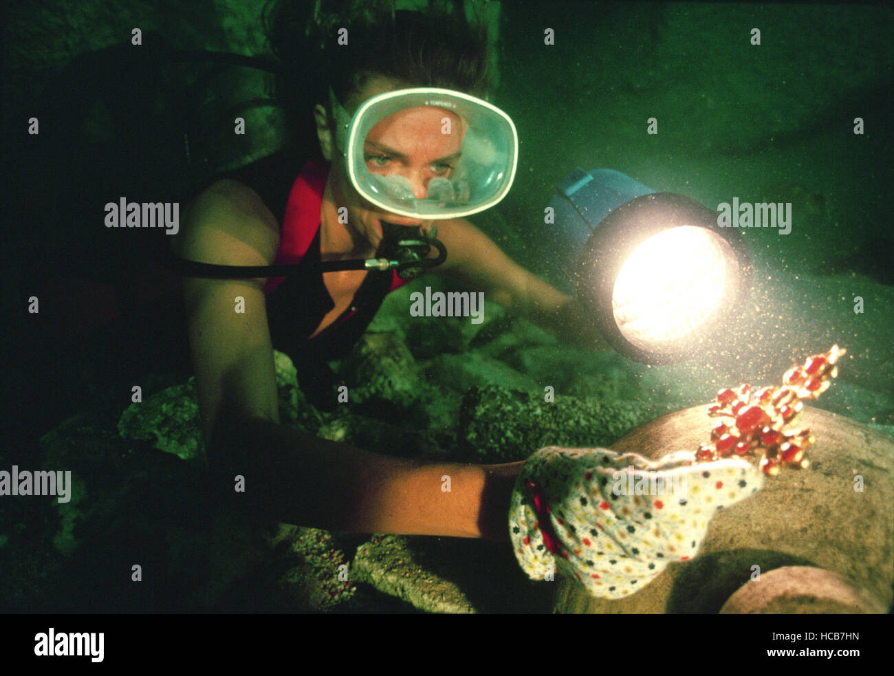 THE DEEP, Jacqueline Bisset, 1977 Stock Photo - Alamy