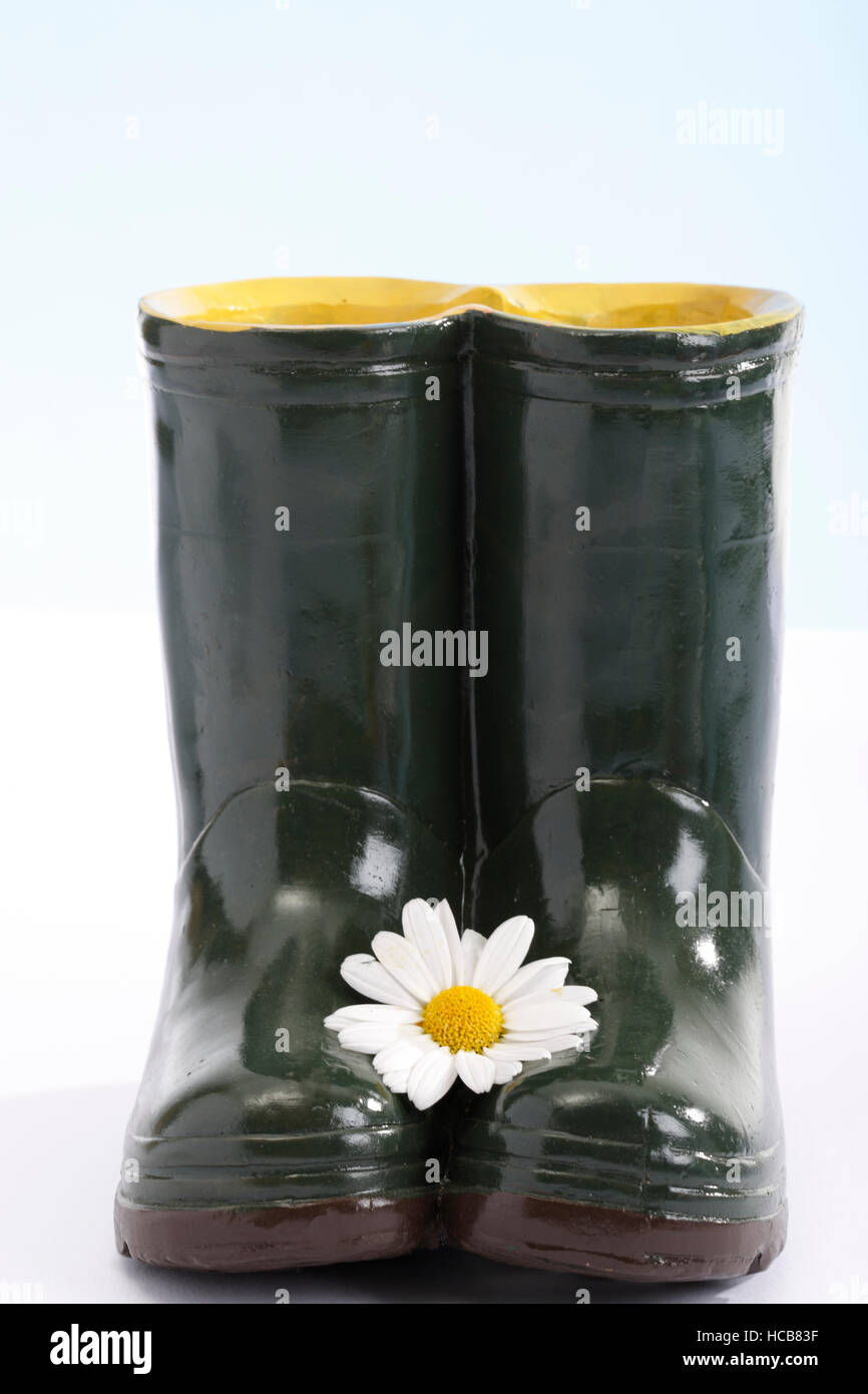 Green decorative boots with an oxeye daisy Stock Photo - Alamy