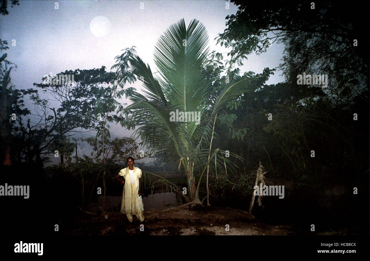 BORN INTO BROTHELS: CALCUTTA'S RED LIGHT KIDS, 2004. ©ThinkFilm ...