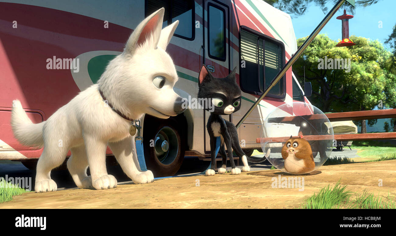 BOLT, left to right: Bolt (voice: John Travolta), Mr. Mittens, Rhino ...