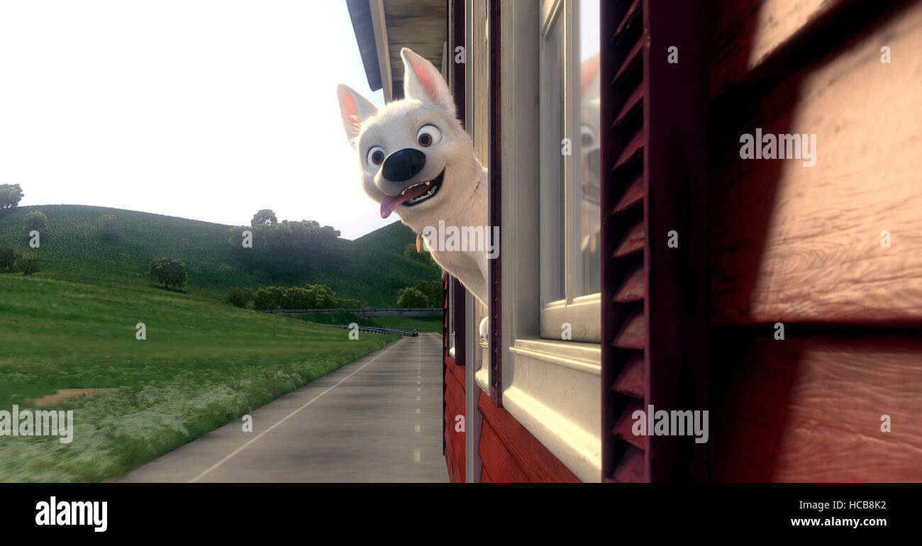 BOLT, Bolt (front, voice: John Travolta), 2008. ©Walt Disney Studios ...