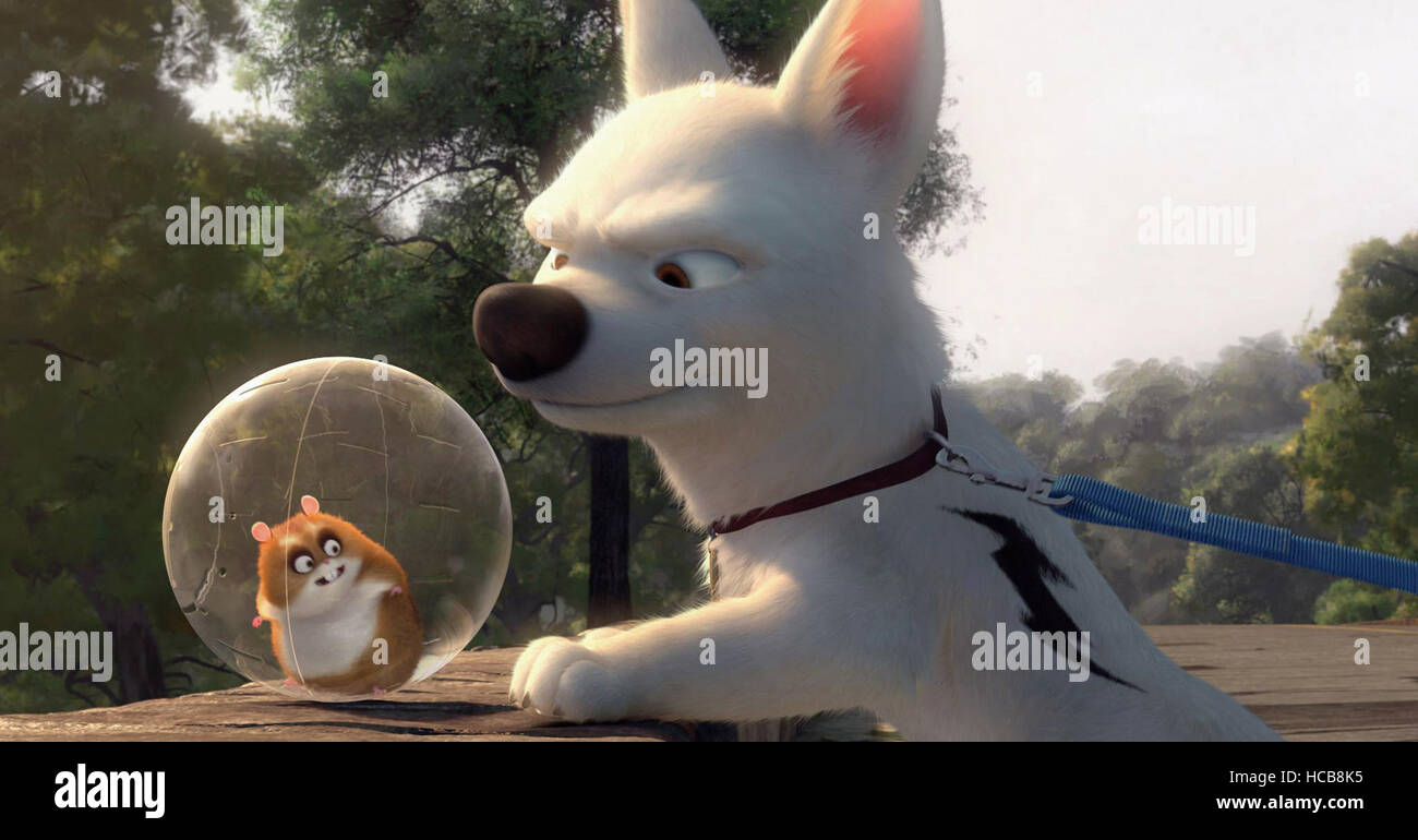 BOLT, left to right: Rhino, Bolt (voice: John Travolta), 2008. ©Walt ...