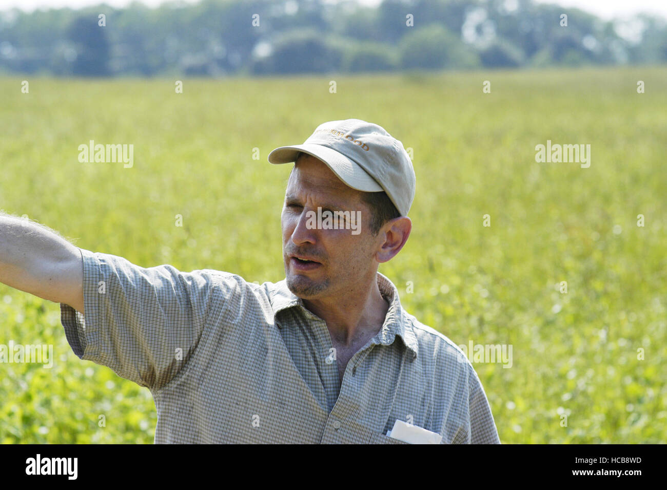BOOK OF LOVE, Alan Brown, 2004 Stock Photo - Alamy