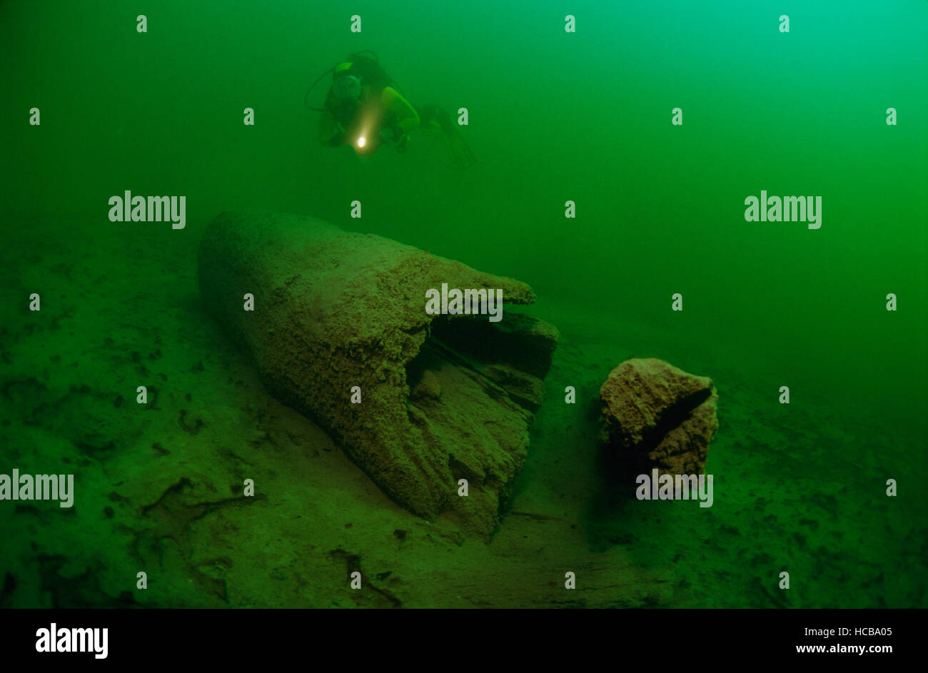 Sunken tree hi-res stock photography and images - Alamy