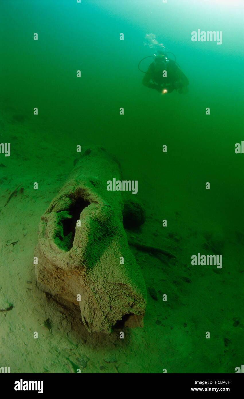 Sunken tree hi-res stock photography and images - Alamy