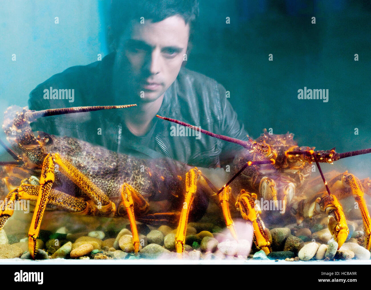 BURNING MAN, Matthew Goode, 2011. ©IFC Films/courtesy Everett ...