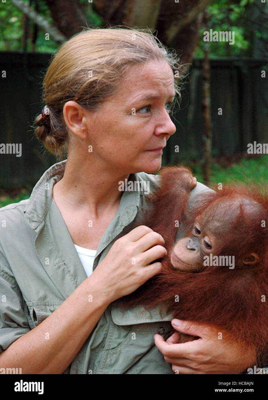 THE BURNING SEASON, Lone Droscher-Nielsen with orangutan in Borneo ...