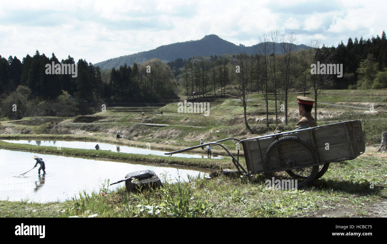 CATERPILLAR, (aka KYATAPIRA), 2010. ©Lorber Films/Courtesy Everett ...