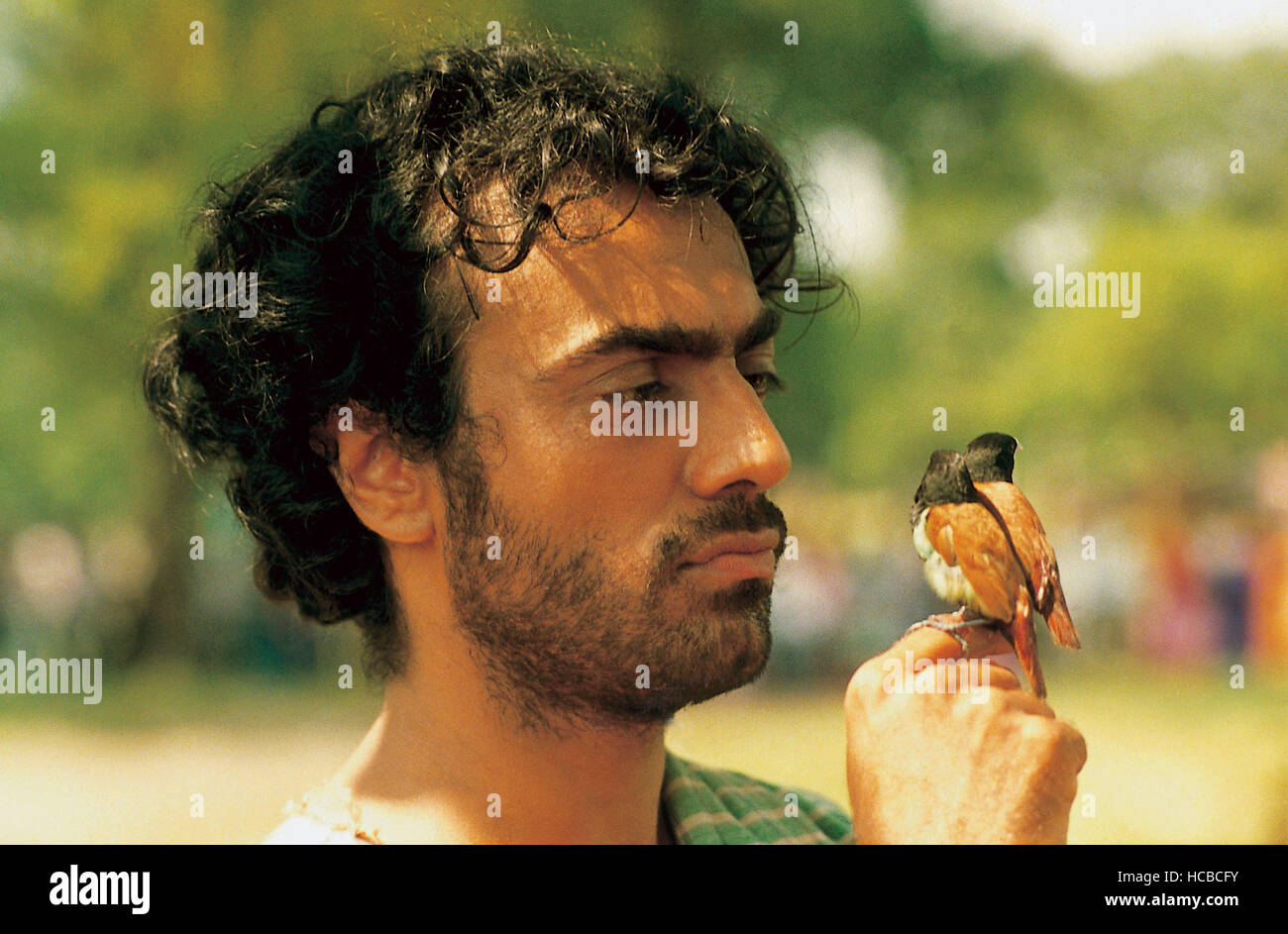 CHARACHAR, (aka SHELTER OF THE WINGS), Rajit Kapoor, 1993 Stock Photo ...