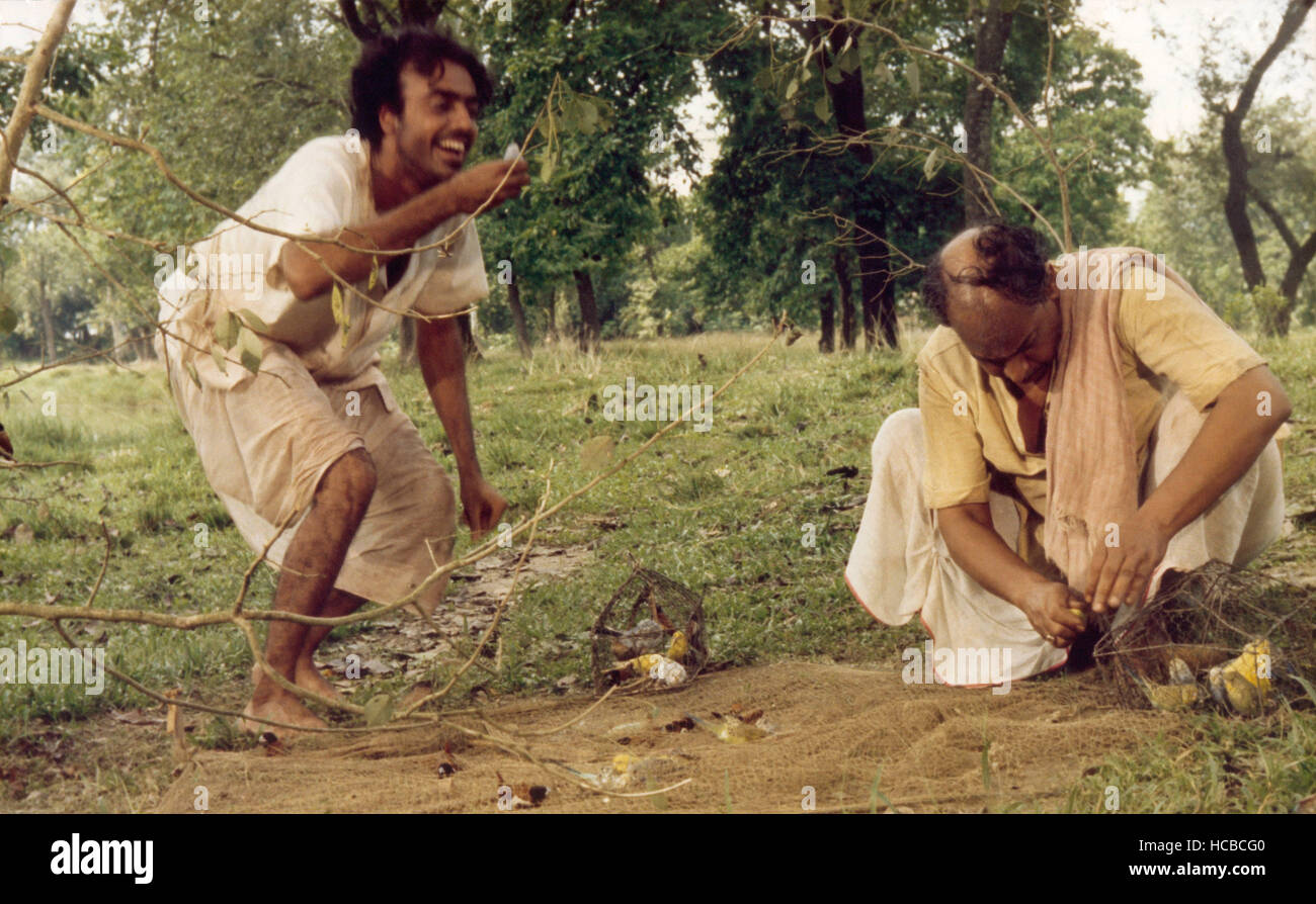 CHARACHAR, (aka SHELTER OF THE WINGS), Rajit Kapoor (left), 1993 Stock ...