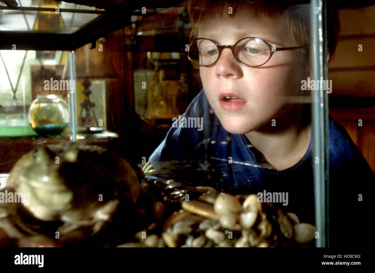 CHEAPER BY THE DOZEN, Forrest Landis, 2003, TM & Copyright (c) 20th ...