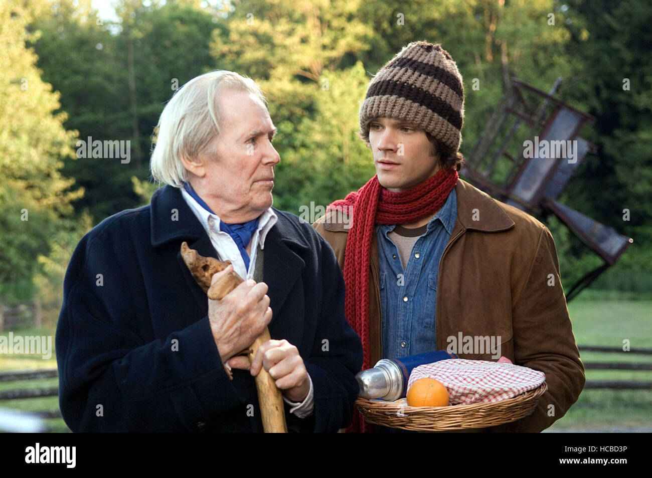 Thomas Kinkade Light Up Houses