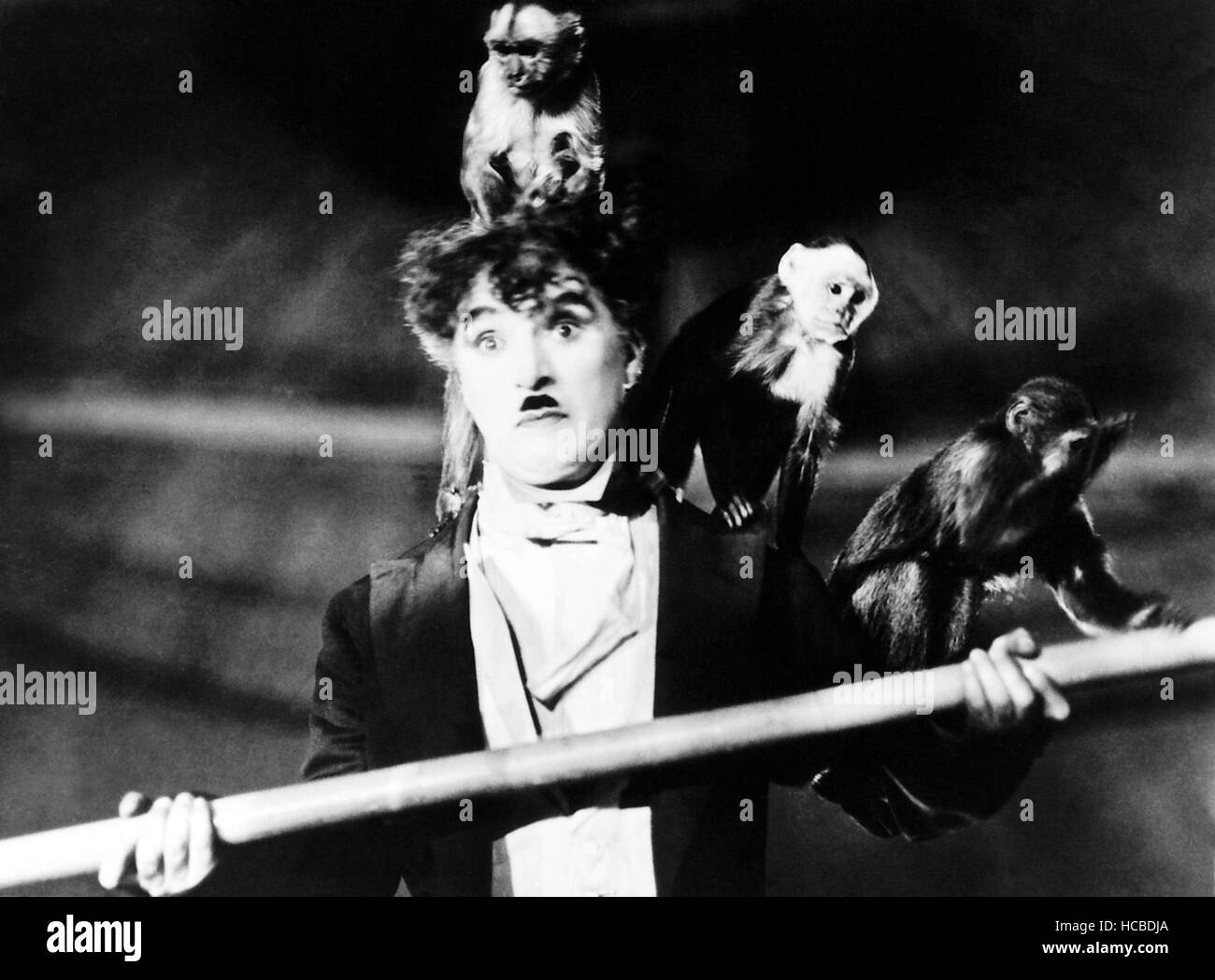 THE CIRCUS, Charlie Chaplin, 1928 Stock Photo - Alamy