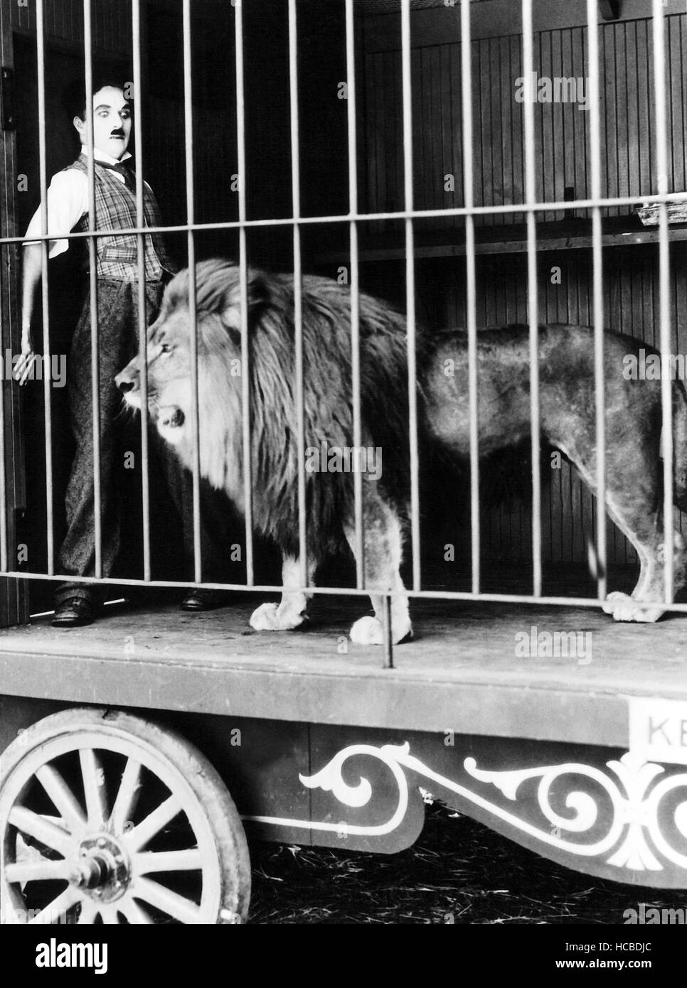 THE CIRCUS, Charlie Chaplin, 1928 Stock Photo - Alamy