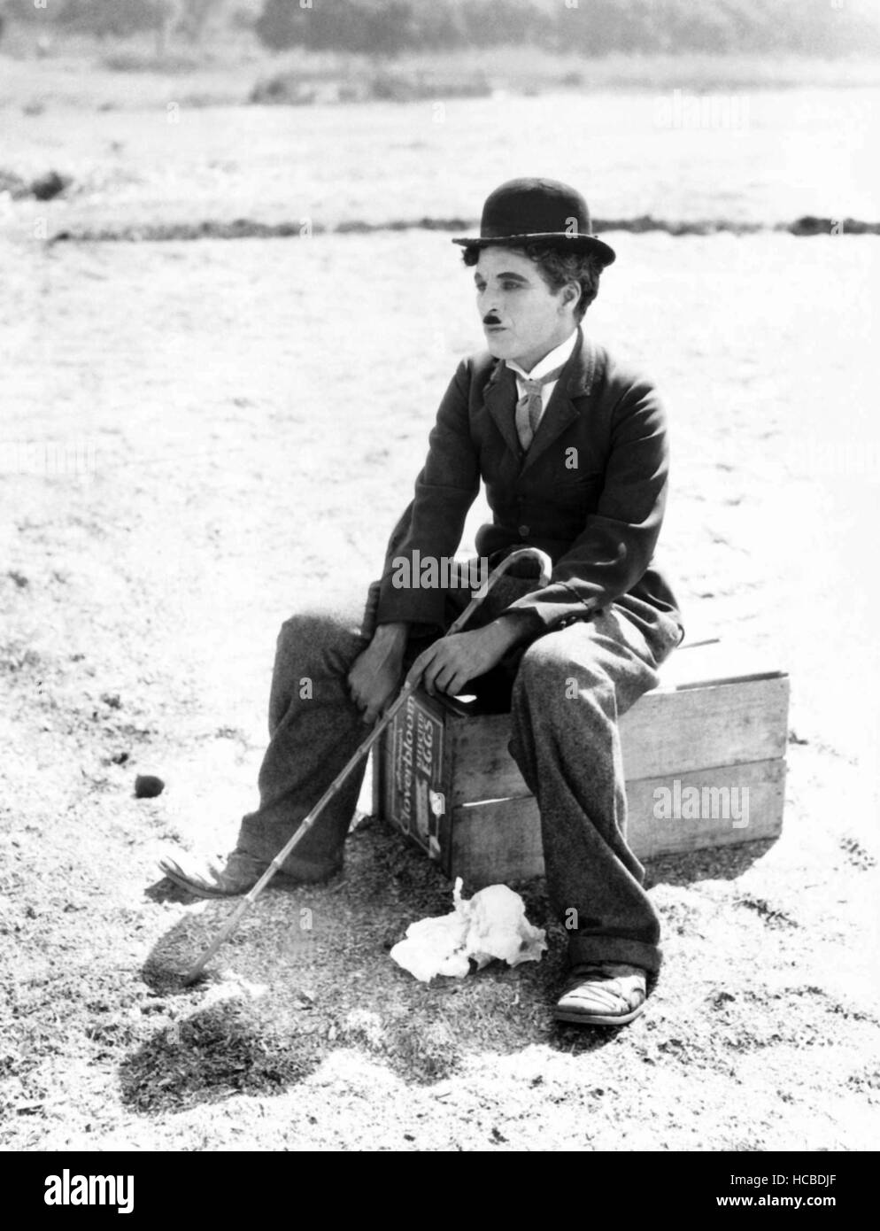 THE CIRCUS, Charlie Chaplin, 1928 Stock Photo - Alamy