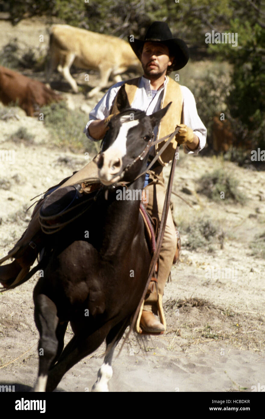 CITY SLICKERS, Billy Crystal, 1991, (c) Columbia/courtesy Everett ...