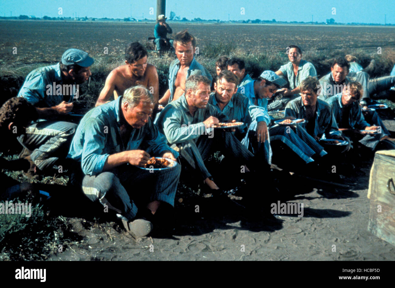 COOL HAND LUKE, George Kennedy, Robert Drivas, Paul Newman, Dennis ...