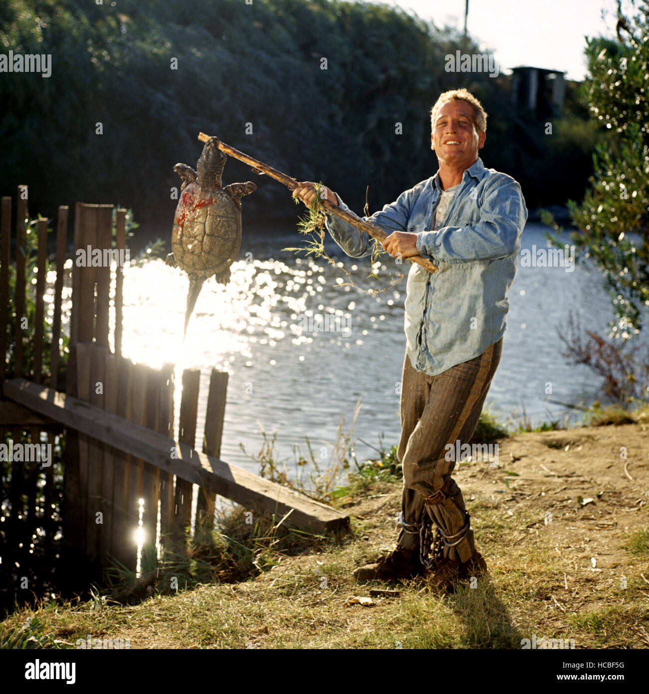 COOL HAND LUKE, Paul Newman, 1967 Stock Photo - Alamy