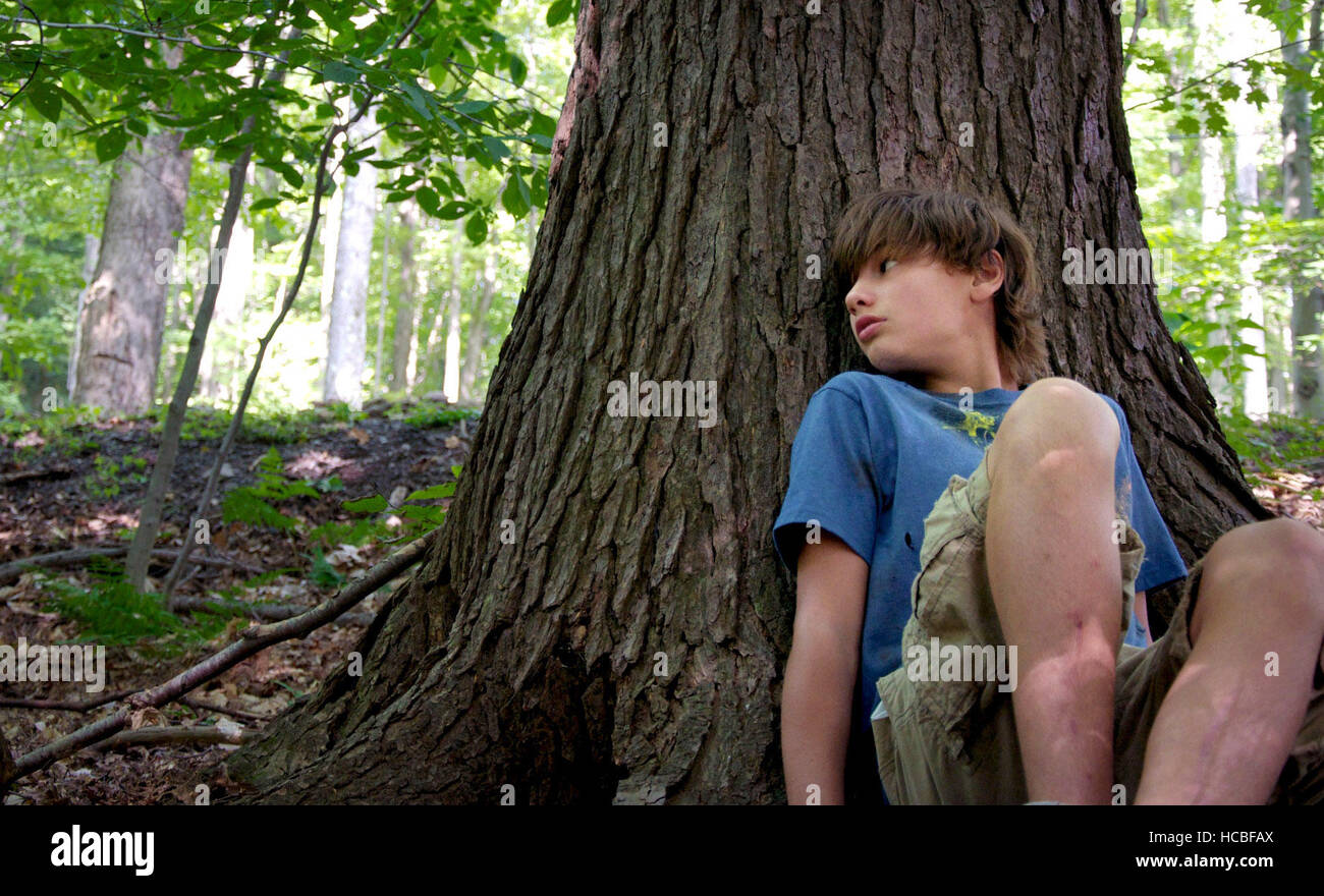 THE COLD LANDS, Silas Yelich, 2013 Stock Photo - Alamy
